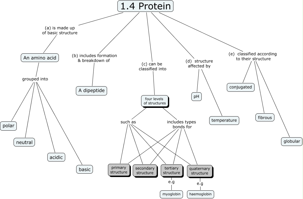 protein_syllabus