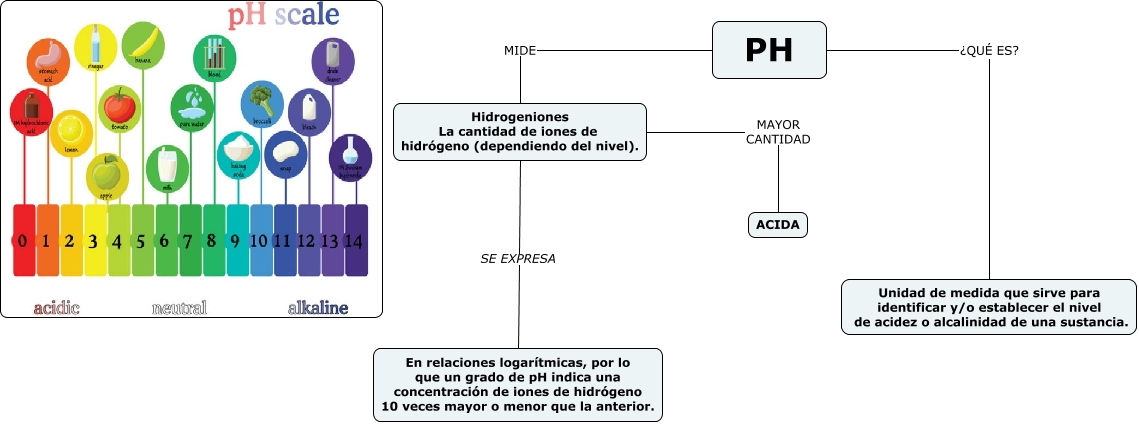 PH SIGNIFICADO
