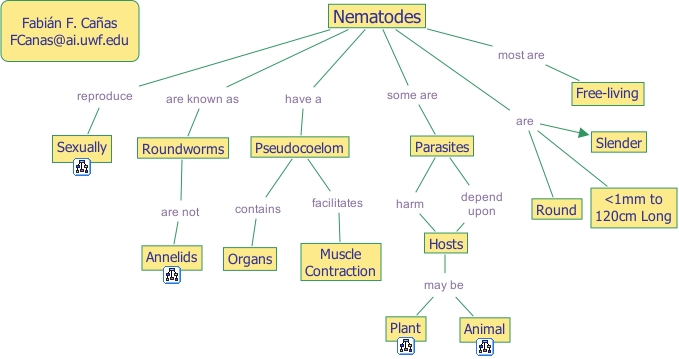 IHMC CmapTools - Concept Map :: Nematodes