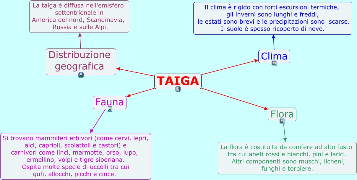taiga