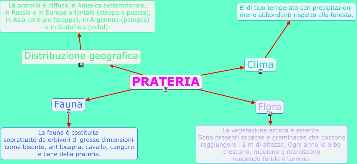 prateria