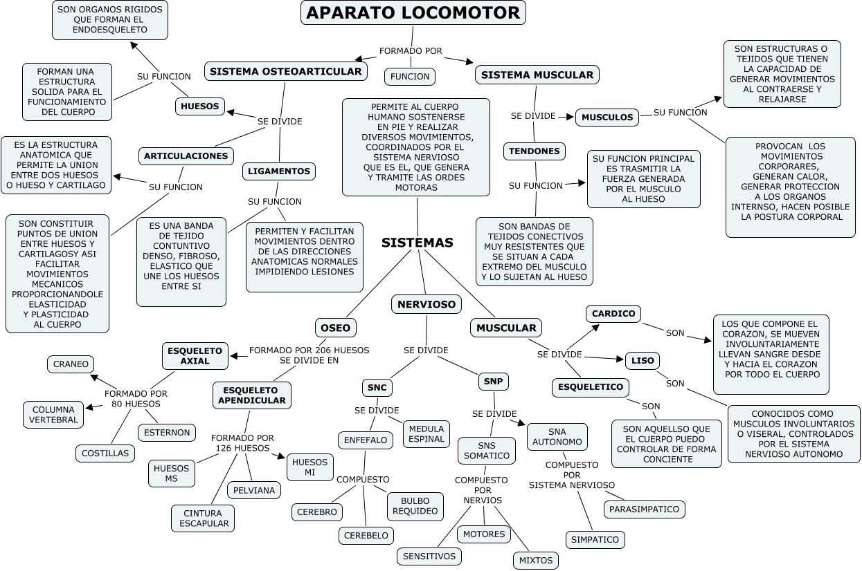 APARATO LOCOMOTOR - NORMA 4