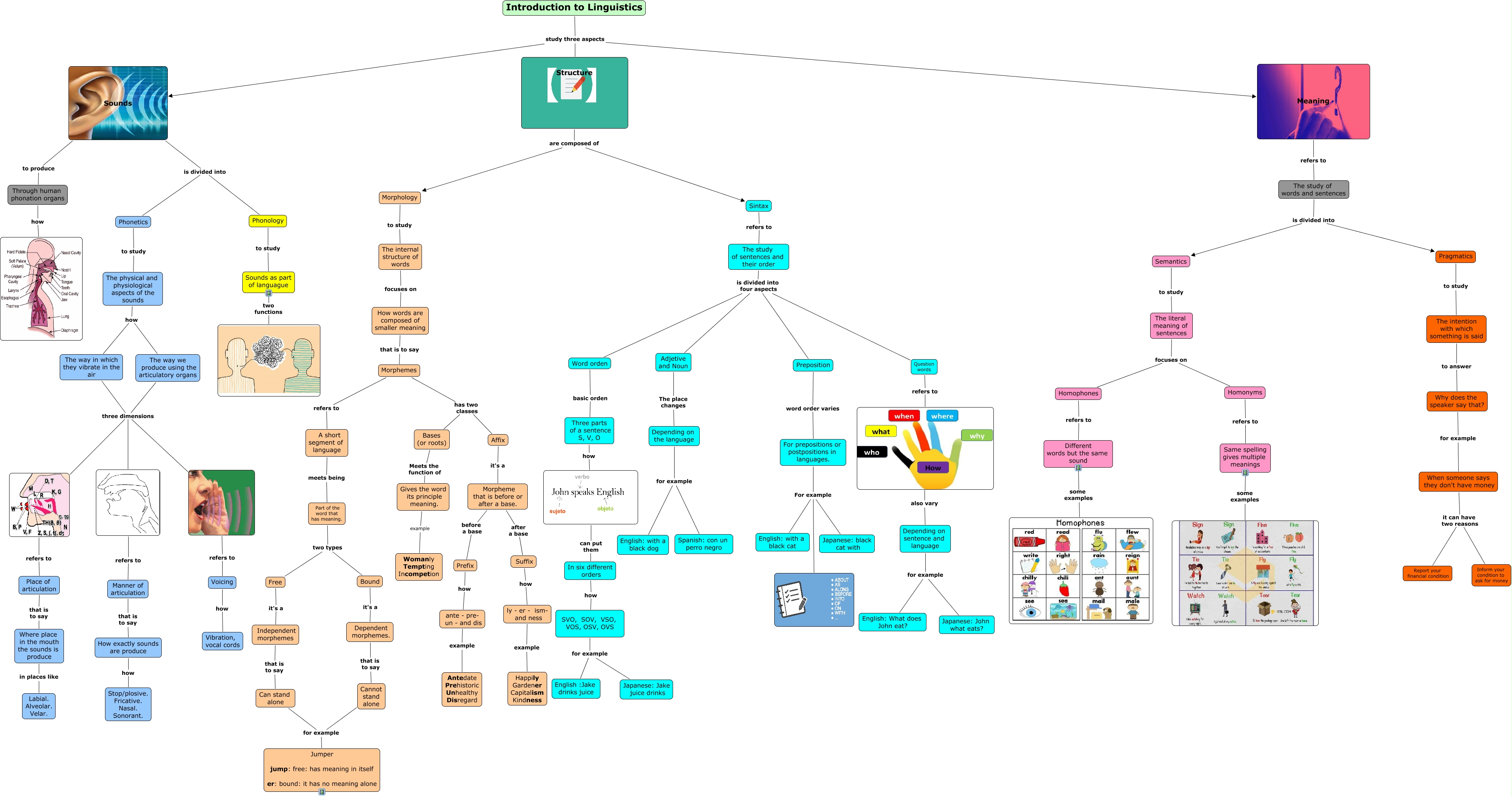 linguistic concept 2