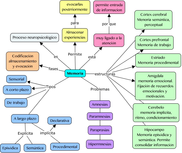 Neuropsicología Memoria