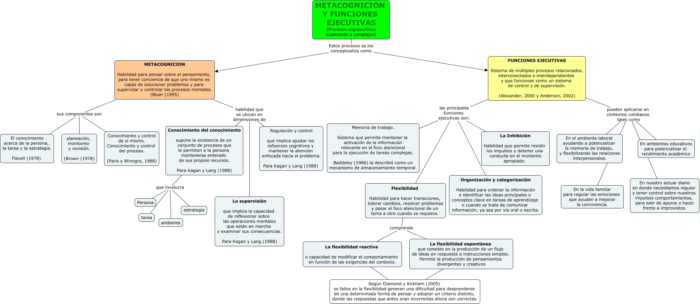 METACOGNICION