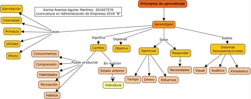 Principios de Aprendizaje