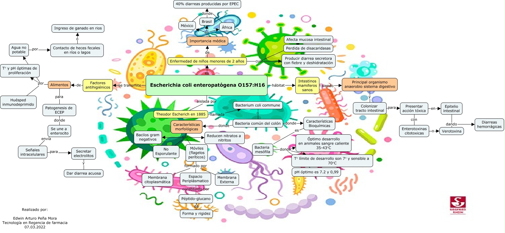 Escherichia Coli