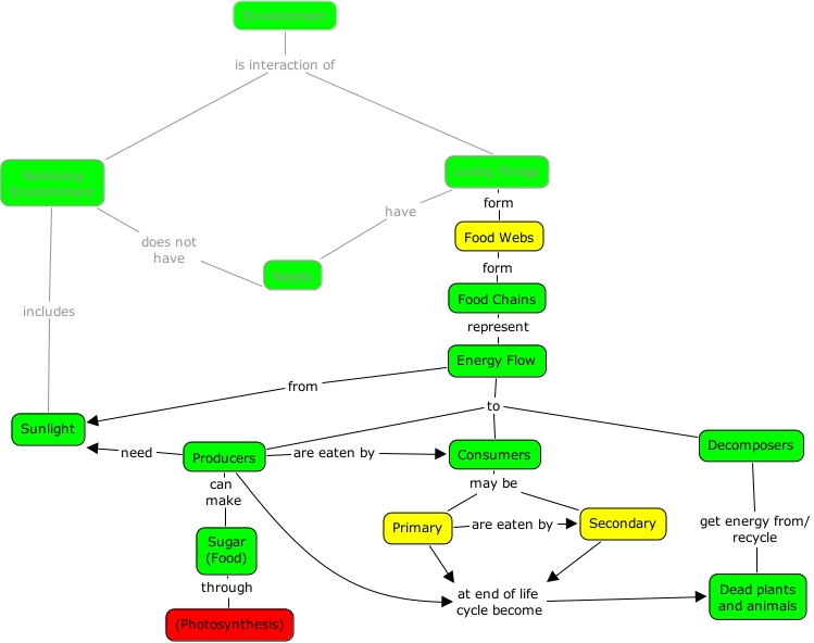 Food Chain Bench R3 - How do food chains illustrate energy flow in ...