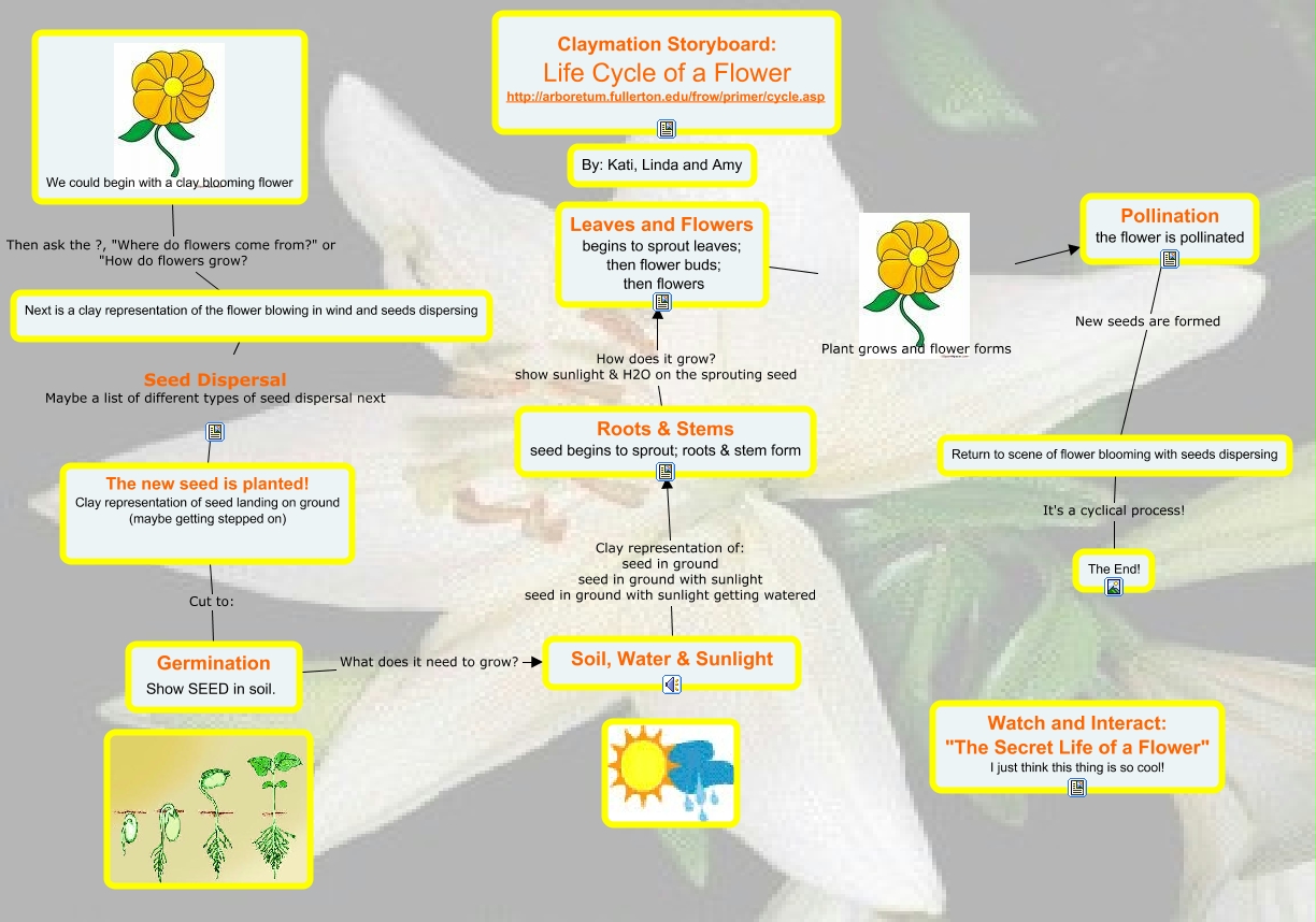 Life Cycle of a Flower by Kati, Linda, and Amy - What is the life cycle ...